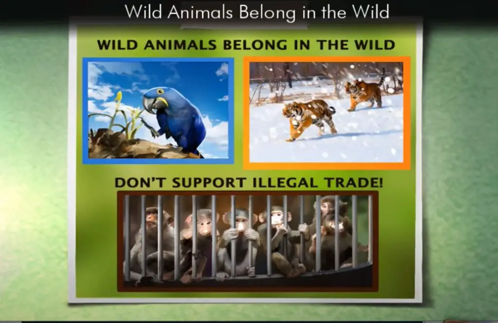 AE Mysteries Starstruck Chapter 4 Walkthrough - Walkthroughs.net