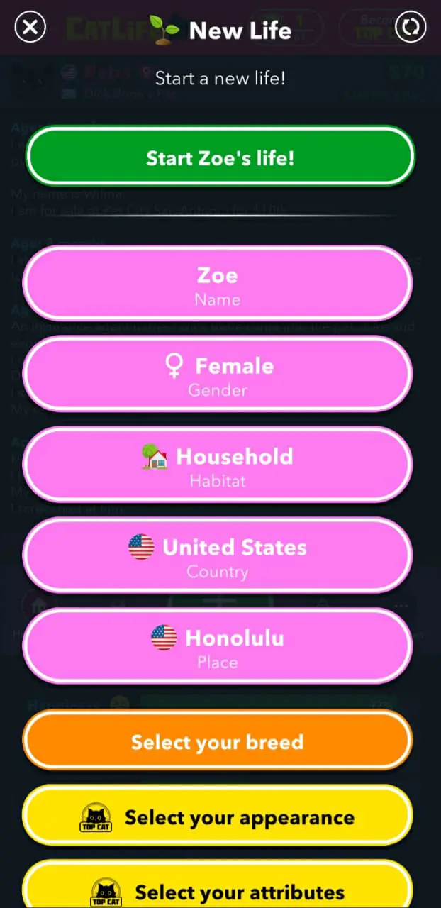 CatLife: Bitlife Cat Game Walkthrough - Beginner's Guide, Tips and ...