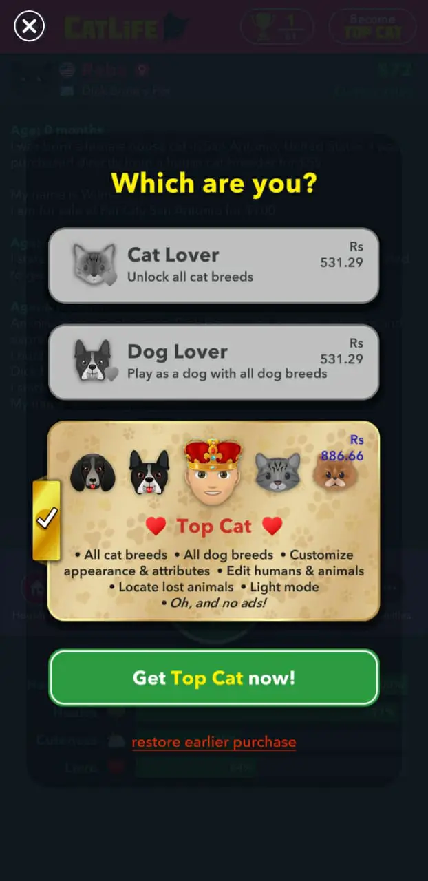 CatLife: Bitlife Cat Game Walkthrough - Beginner's Guide, Tips and ...