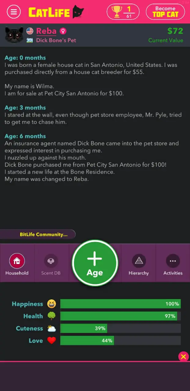 CatLife: Bitlife Cat Game Walkthrough - Beginner's Guide, Tips and ...